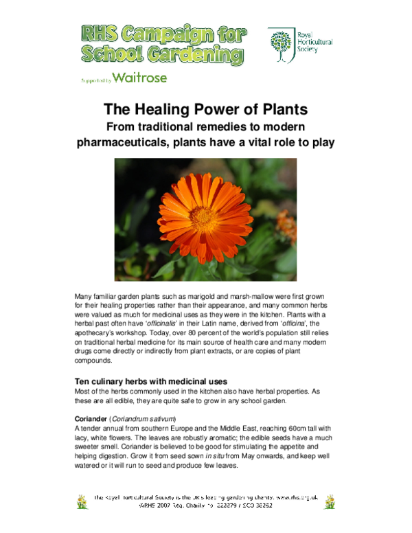 (PDF) The Healing Power of Plants