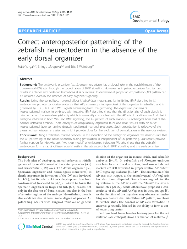 (PDF) Correct anteroposterior patterning of the zebrafish neurectoderm ...