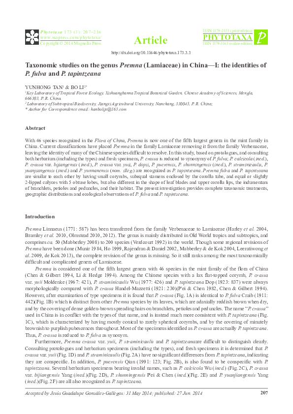 (PDF) Taxonomic studies on the genus Premna (Lamiaceae) in China—I: the ...