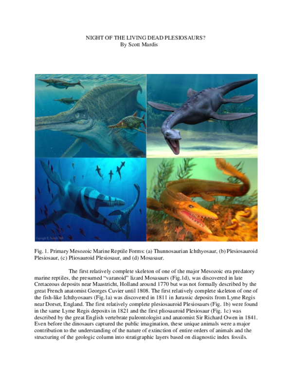 (PDF) NIGHT OF THE LIVING DEAD PLESIOSAURS