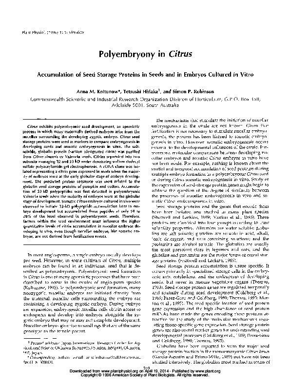 (PDF) Polyembryony in Citrus Accumulation of Seed Storage Proteins in ...