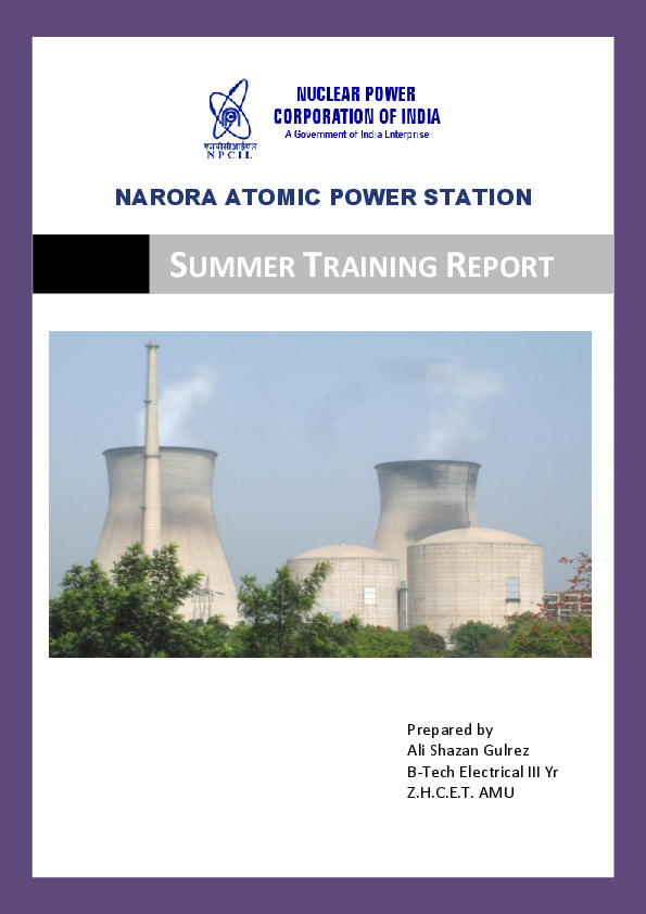 (PDF) Narora Atomic Power Station, Summer Training Report