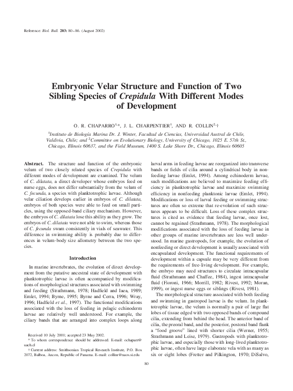 (PDF) Embryonic Velar Structure and Function of Two Sibling Species of ...