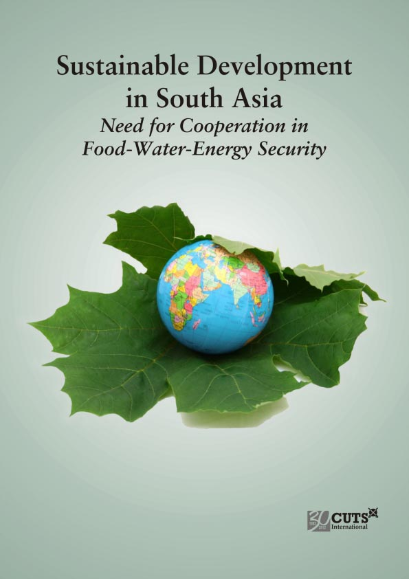 (PDF) Sustainable Development in South Asia