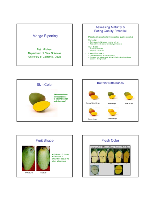 (PDF) Mango Ripening Assessing Maturity & Eating Quality Potential ...