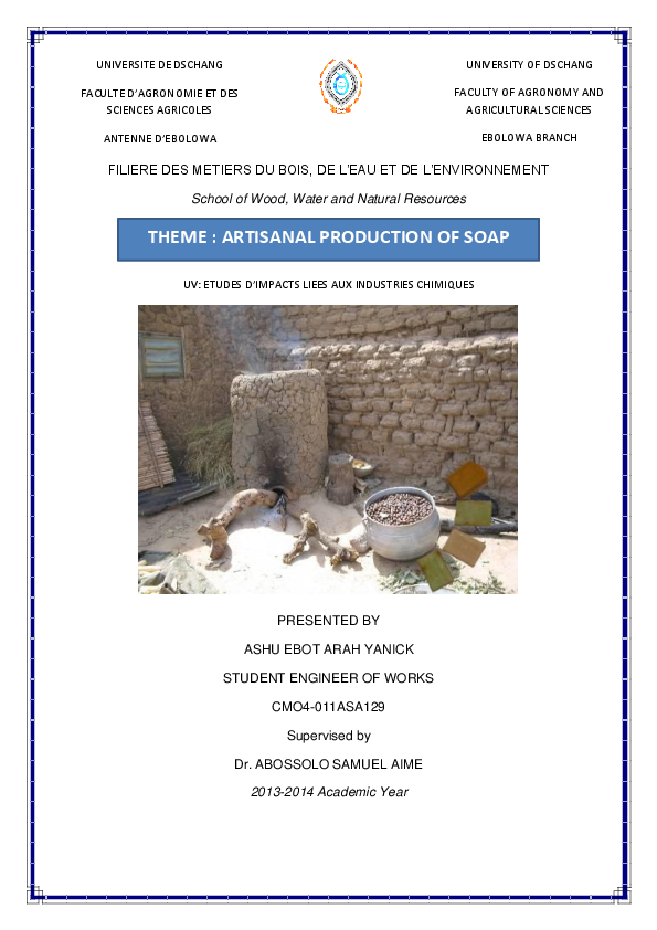 (DOC) Final report on soap production