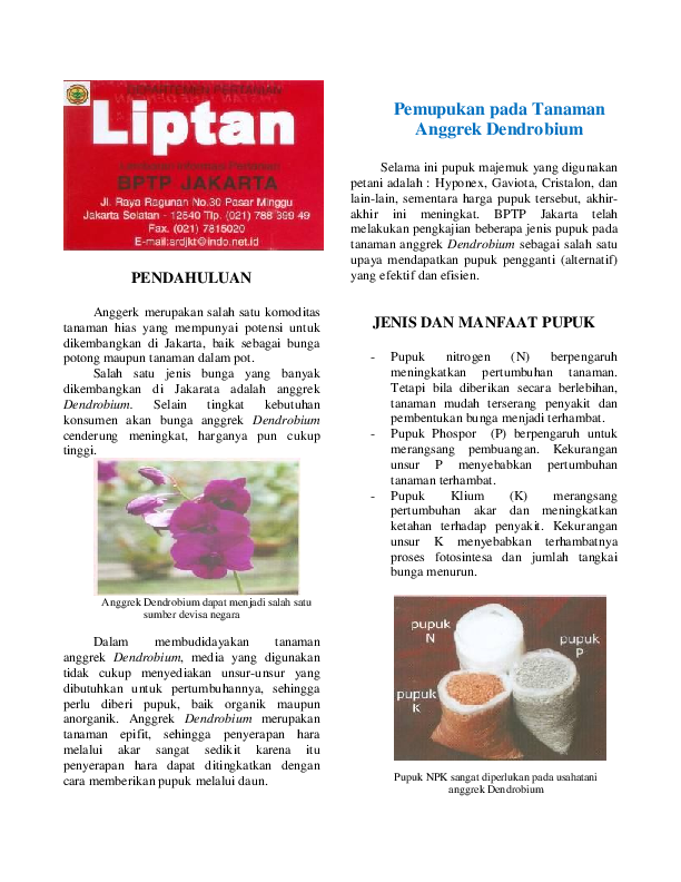 Catat! 26+ Pupuk Tanaman Bunga Anggrek yang Lagi Viral - Informasi ...