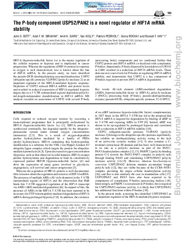(PDF) The P-body component USP52/PAN2 is a novel regulator of HIF1A ...