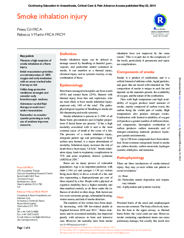 (PDF) Smoke Inhalation Injury
