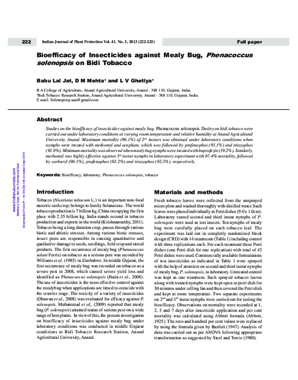 (PDF) Bioefficacy of Insecticides against Mealy Bug, Phenacoccus