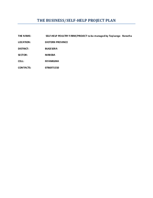 (DOC) THE BUSINESS/SELF-HELP PROJECT PLAN