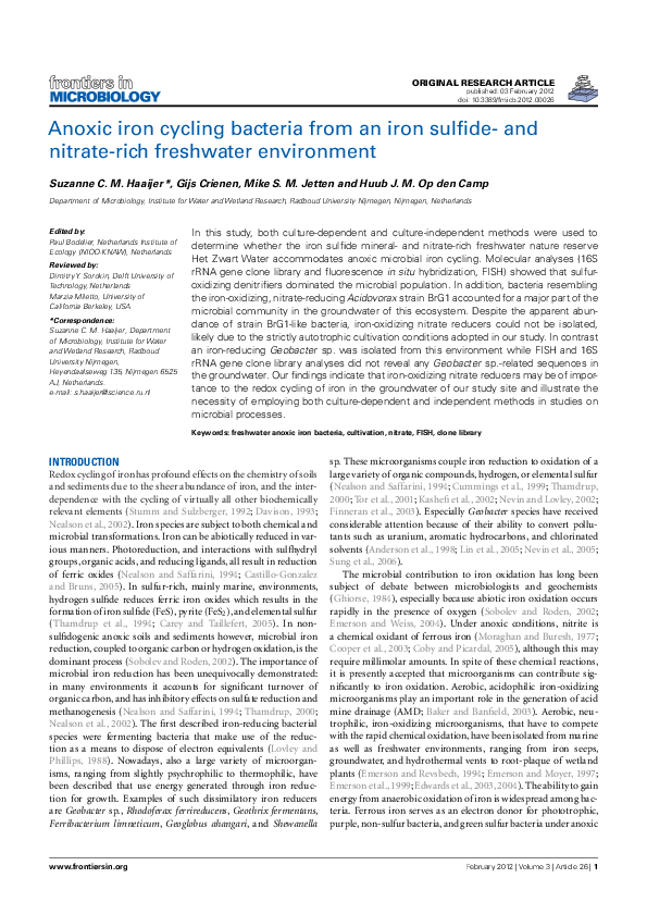 (PDF) Anoxic iron cycling bacteria from an iron sulfide-and nitrate ...