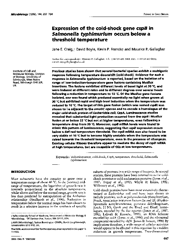 (PDF) Expression of the cold-shock gene cspB in Salmonella typhimurium ...