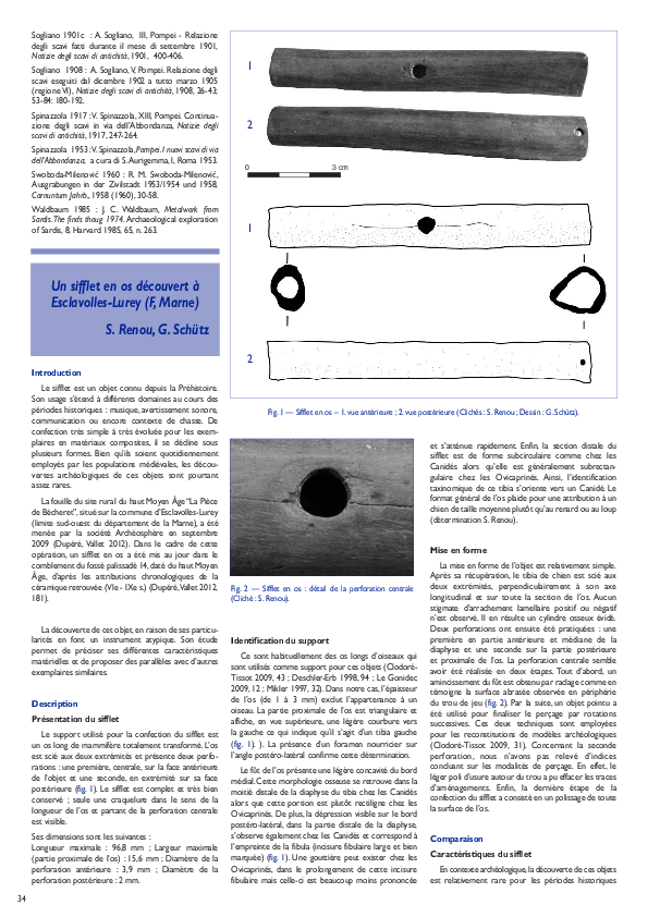 (PDF) Article Renou et Schütz 2013 - Un sifflet en os découvert à ...