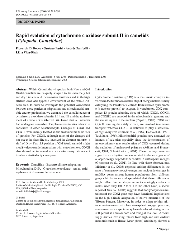 (PDF) Rapid evolution of cytochrome c oxidase subunit II in camelids ...