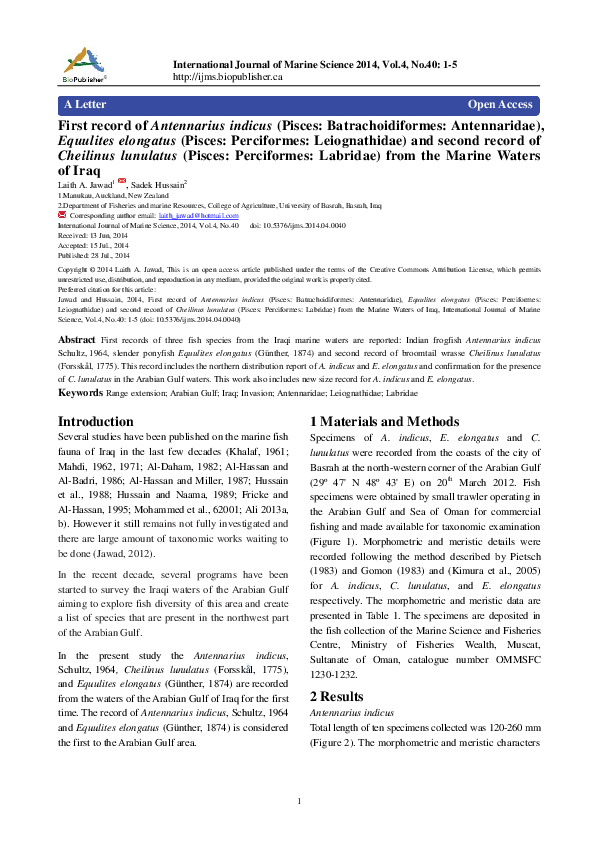 (PDF) First record of Antennarius indicus (Pisces: Batrachoidiformes ...