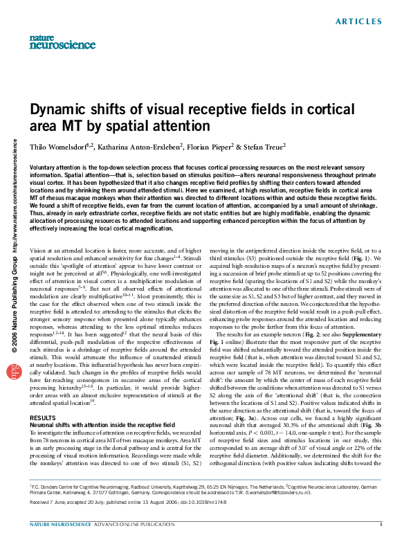 (PDF) Dynamic shifts of visual receptive fields in cortical area MT by ...