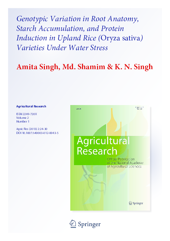 (PDF) Genotypic Variation in Root Anatomy, Starch Accumulation, and ...
