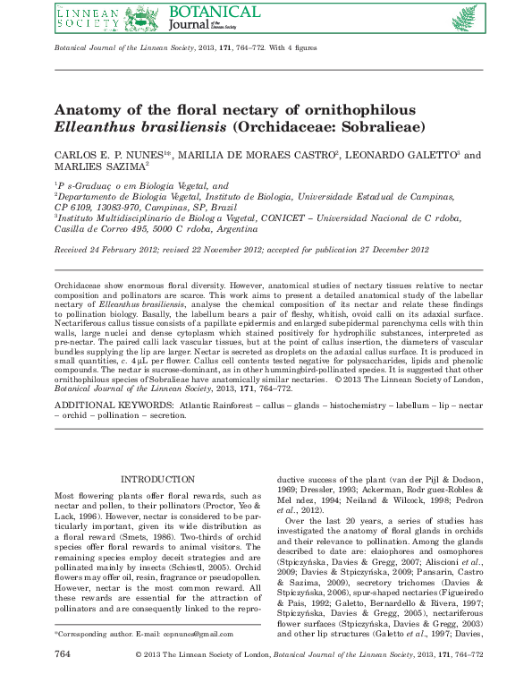 (PDF) Anatomy of the floral nectary of ornithophilous Elleanthus ...