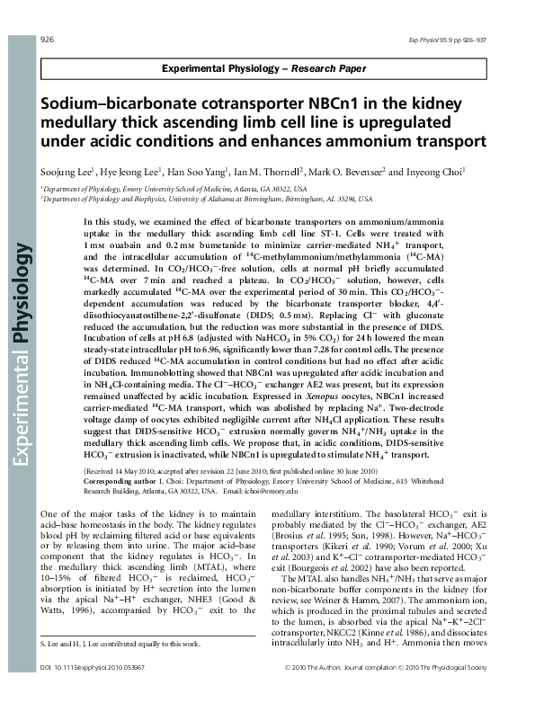 (PDF) Ammonium transport in medullary thick ascending limb of rabbit kidney: Involvement of the ...