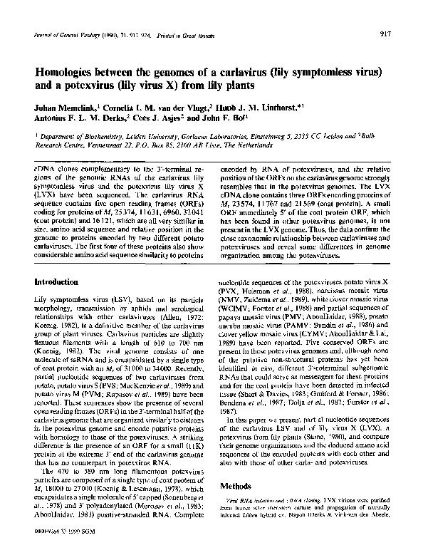 (PDF) Homologies between the genomes of a carlavirus (lily symptomless ...