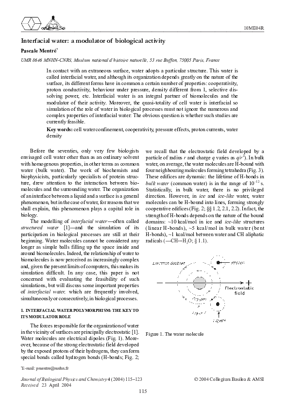 (PDF) Interfacial water: a modulator of biological activity