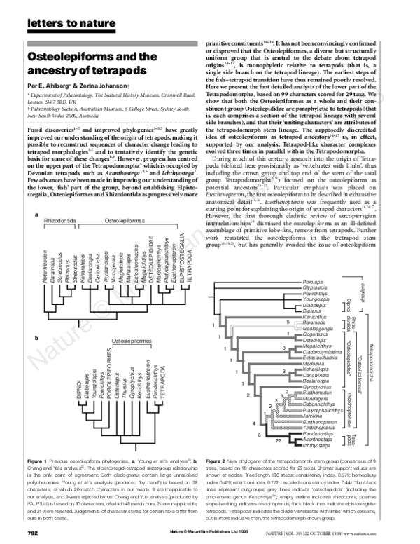 (PDF) Osteolepiforms and the Ancestry of Tetrapods