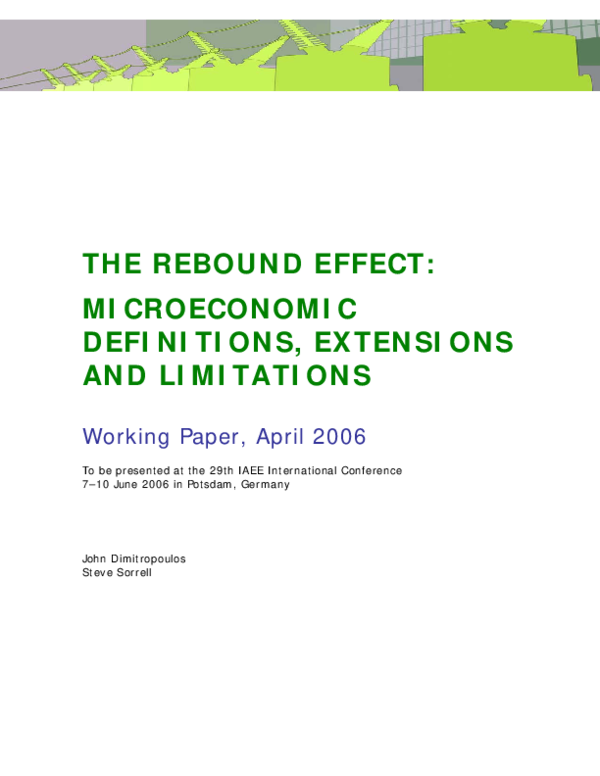 (PDF) Microeconomic Insights on the Rebound Effect
