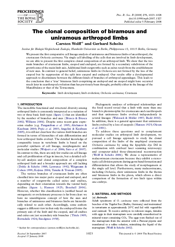 (PDF) The clonal composition of biramous and uniramous arthropod limbs