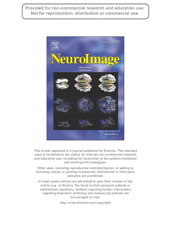 (PDF) Static images of novel, moveable objects learned through touch ...