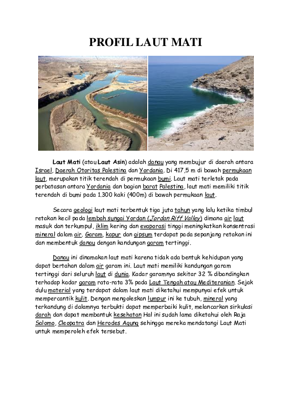 (DOC) PROFIL LAUT MATI