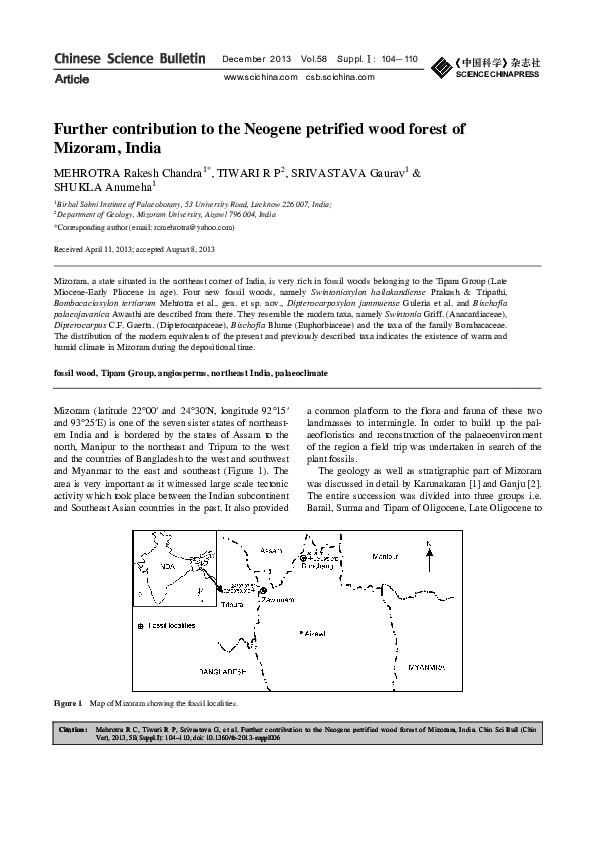 (PDF) Neogene Petrified Wood Forest in Mizoram