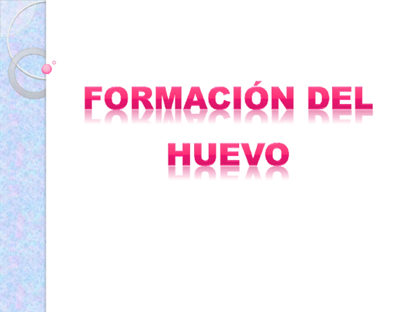 (PPT) FORMACION DEL HUEVO