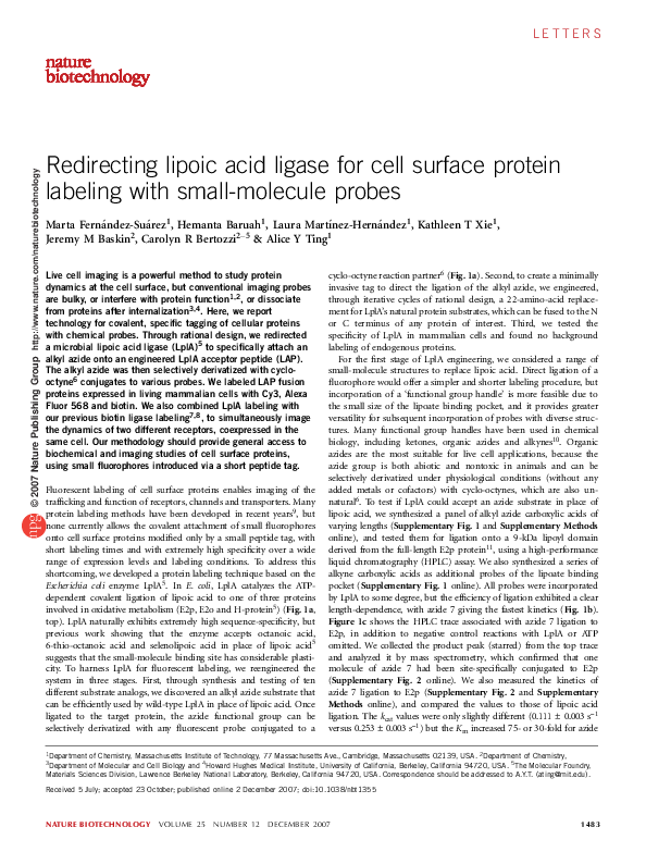 (PDF) Redirecting lipoic acid ligase for cell surface protein labeling ...