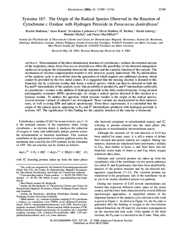Pdf Tyrosine 167 The Origin Of The Radical Species Observed In The Reaction Of Cytochrome C