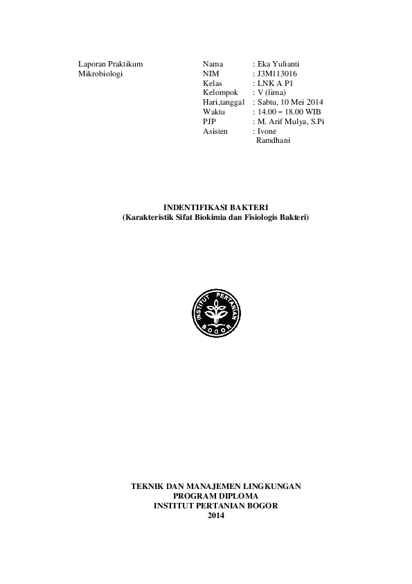 (DOC) identifikasi bakteri