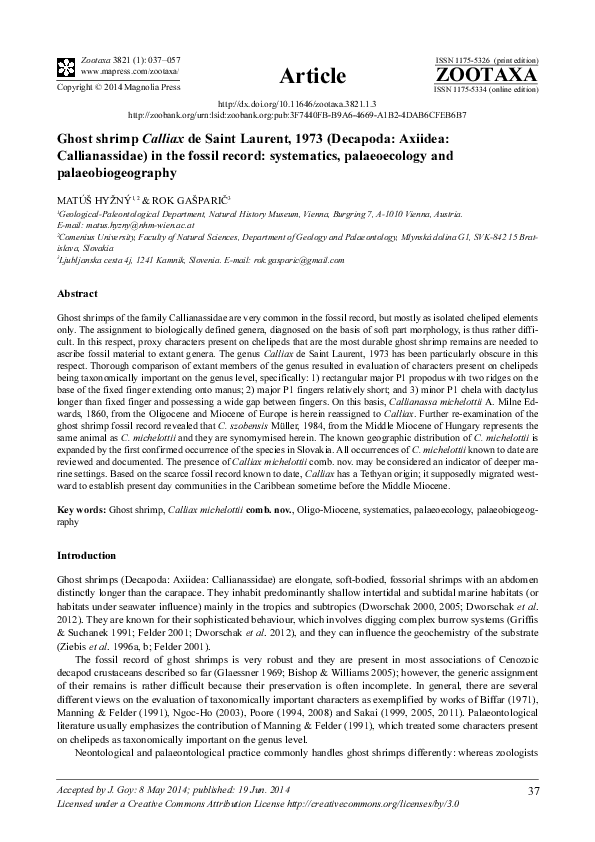 (PDF) Ghost shrimp Calliax de Saint Laurent, 1973 (Decapoda Axiidea ...