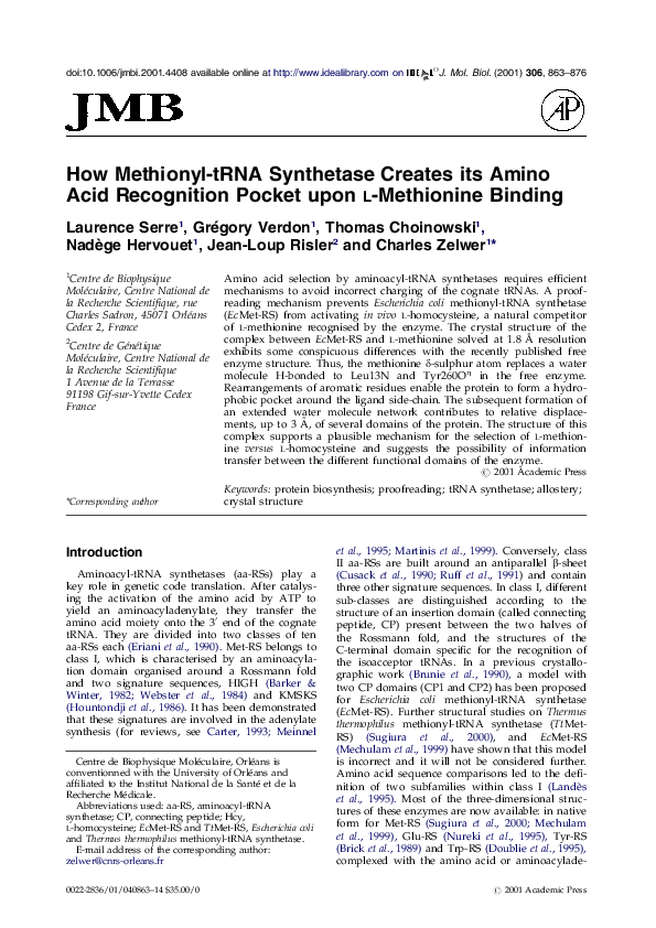 (PDF) How methionyl-tRNA synthetase creates its amino acid recognition ...