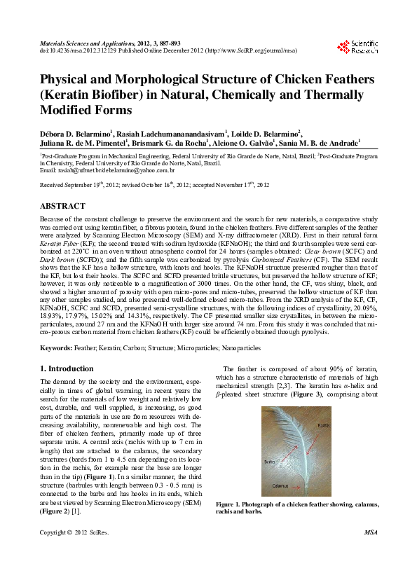 (PDF) Physical and Morphological Structure of Chicken Feathers (Keratin ...