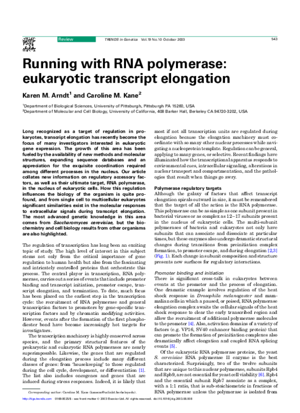 Pdf Running With Rna Polymerase Eukaryotic Transcript Elongation