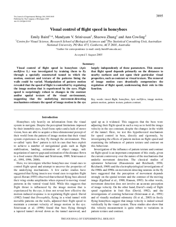 (PDF) Visual control of flight speed in honeybees