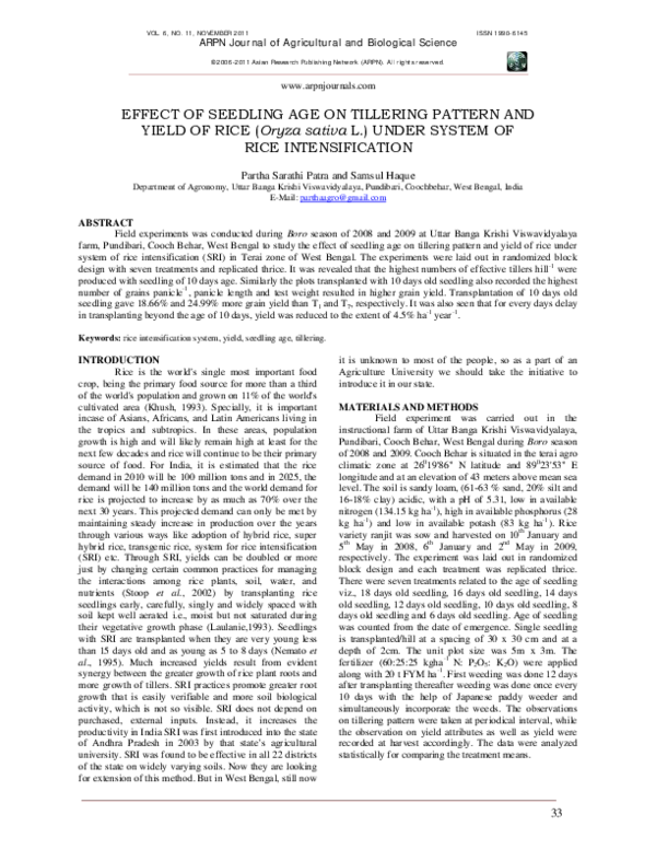 Pdf Effect Of Seedling Age On Tillering Pattern And Yield Of Rice
