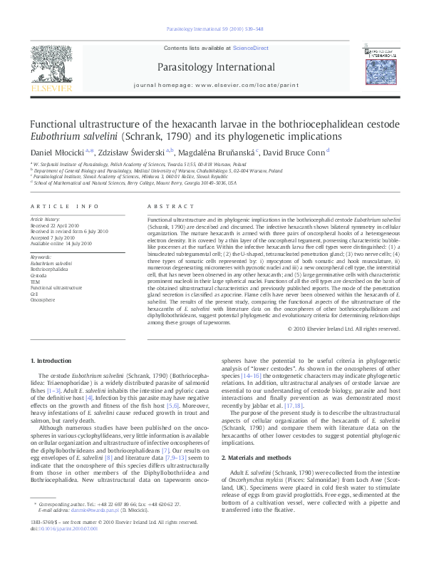 (PDF) Functional ultrastructure of the hexacanth larvae in the ...