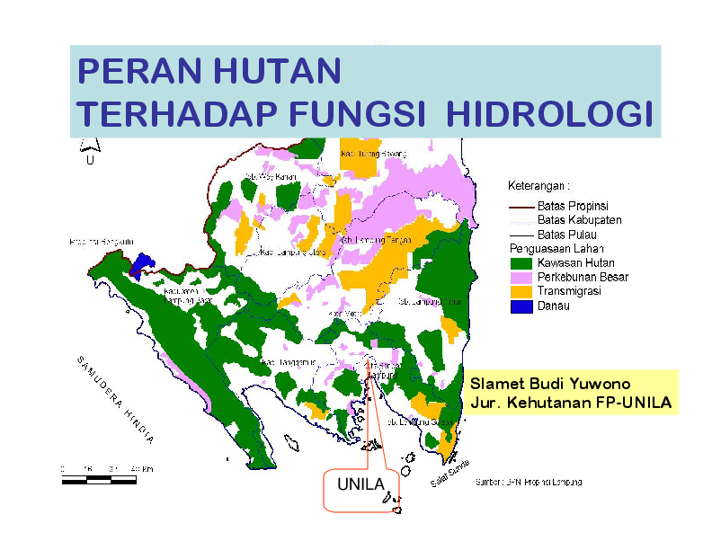 (PDF) Peran Hutan Terhadap Fungsi Hidrologi