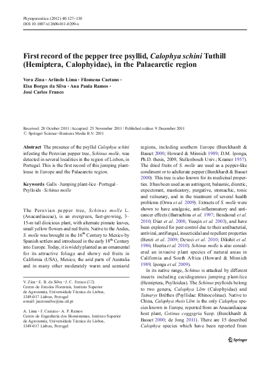 (PDF) First record of the pepper tree psyllid, Calophya schini Tuthill ...