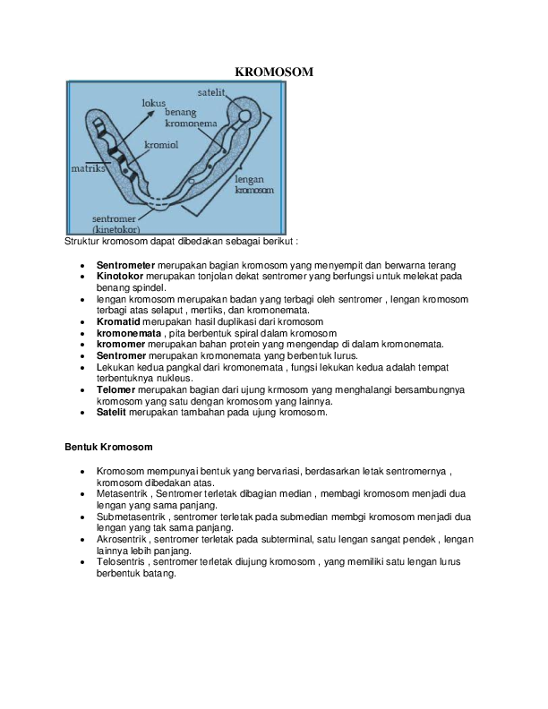 (DOC) KROMOSOM