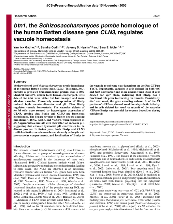 (PDF) btn1, the Schizosaccharomyces pombe homologue of the human Batten ...