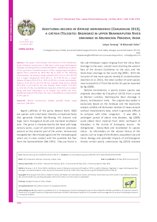 (PDF) Additional record of Batasio merianiensis (Chaudhuri 1913), a ...