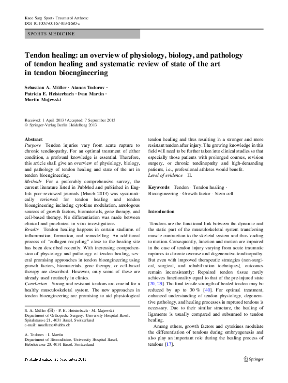 (PDF) Tendon healing: an overview of physiology, biology, and pathology ...