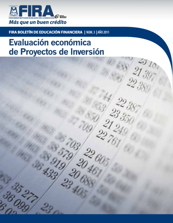 BF3 EVALUACION ECONOMICA DE PROYECTOS DE INVERSION
